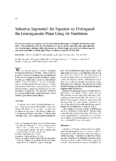 Pdf Selective Segmental Jet Injection To Distinguish The Intersegmental Plane Using Jet