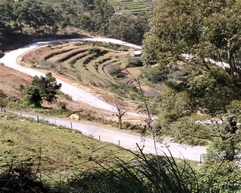 25 Cent Agriculturalfarm Land For Sale In Vilpatti Kodaikanal