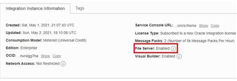 oracle applications enable file server in oracle integration cloud oic