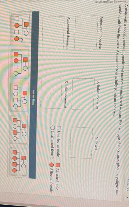 Solved A Man With A Specific Unusual Genetic Trait Marries