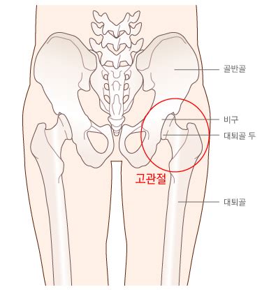 서울대학교병원