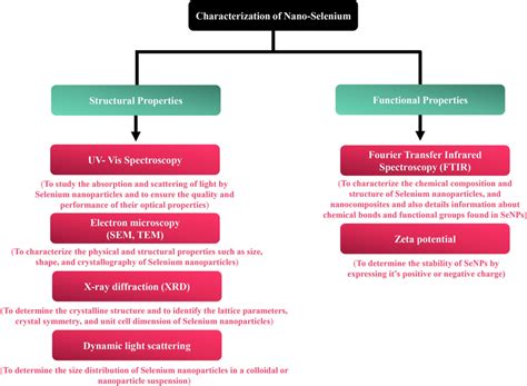 Characterization Of Selenium Nanoparticles Download Scientific Diagram