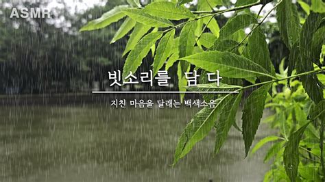 한적한 공원의 빗소리 Asmr 긴장 완화와 마음의 안정을 위한 백색소음 스트레스 해소 이명 완화 집중력 향상 음악