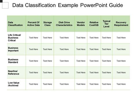 Data Classification Example Powerpoint Guide Powerpoint Presentation Pictures Ppt Slide