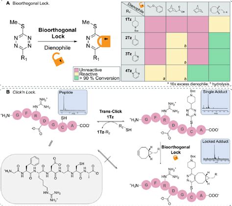 A Schematic Representation Of Lock Via Iedda Left And Overview Of