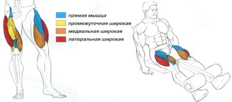 Зожник Самые эффективные упражнения для мышц ног и ягодиц