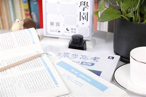 So That的用法和例句高三网