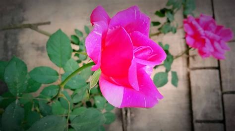 Photography World Captured By Nibedita Ghosh