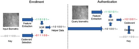 Biometric Template Security