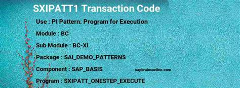 SXIPATT1 SAP Tcode For PI Pattern Program For Execution