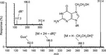 LC ESI MS MS Product Ion Scan Analyses Of Putative DNA Adduct III Download Scientific