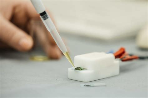 Russia Develops Ultra Sensitive Sensor For Detecting Pesticides In Food