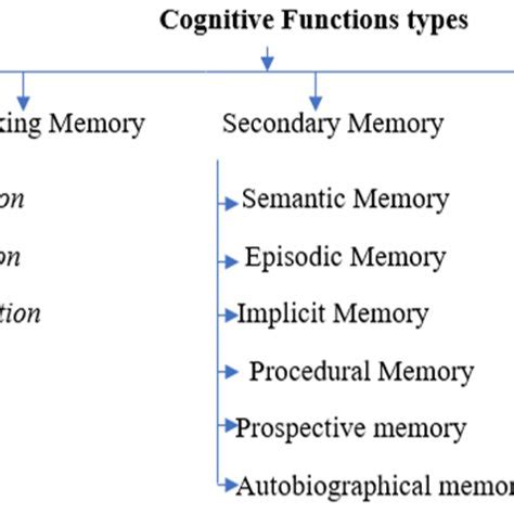 Types Of Cognitive Functions Download Scientific Diagram