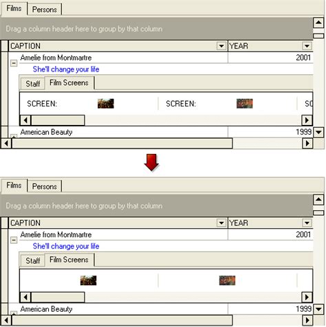 Master Detail Tutorial Step 6 Customizing Views Vcl Devexpress