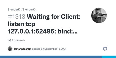Waiting For Client Listen Tcp 12700162485 Bind An Attempt Was Made To Access A Socket In
