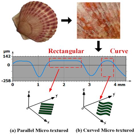 Effect Of Composite Bionic Micro Texture On Cutting Performance Of Tools