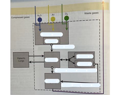 Anesthesia Delivery System — Printable Worksheet