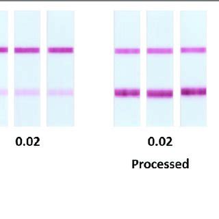 A 0 μg mL 0 μg mL processed 0 02 μg mL 0 02 μg mL processed and Download Scientific