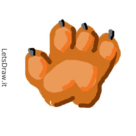 How To Draw Paw Print Ub Pqiqz Png LetsDrawIt