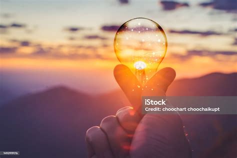 N 일출의 배경에서 한 손이 뇌의 디지털 네트워크와 그 안의 전구를 움켜쥐고 있습니다 상상력과 아이디어 독창성과 동기 부여 현대 기술 지적 재산에 대한 스톡 사진 및 기타