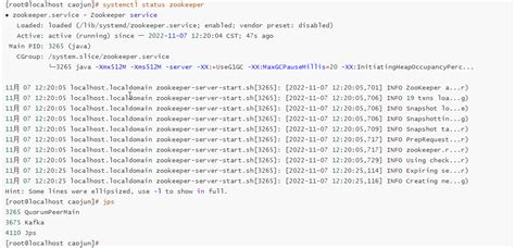 Kafka开机自启动（linux系统 And Windows） Eisouthboy 博客园