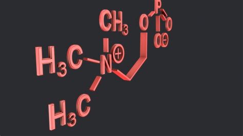 3d Lecithin Structural Model Turbosquid 1238357