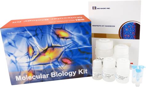 All In One Dna Rna Protein Miniprep Kit
