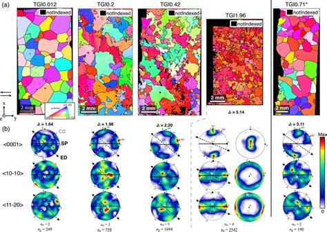 A Example Of Ebsd Patterns Obtained From Tangential Sections For Each Download Scientific