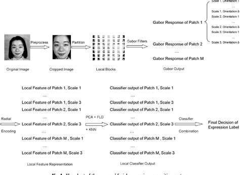 Figure 1 From Facial Expression Recognition Using Radial Encoding Of Local Gabor Features And