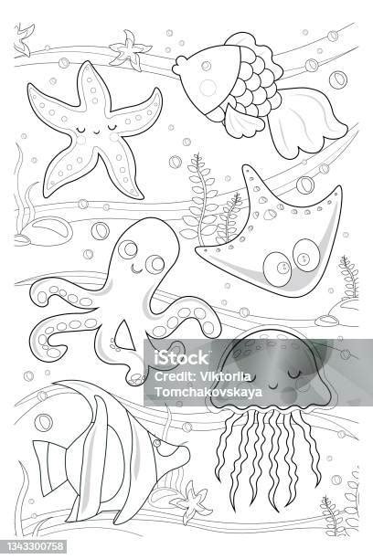 벡터 색칠 공부 해양 생물 색칠 페이지 바다 생물 물고기 조류 오징어 문어 불가사리 해파리와 수중 세계 어린이를위한 컬러링 북 페이지 일러스트레이션 기법에 대한 스톡 벡터