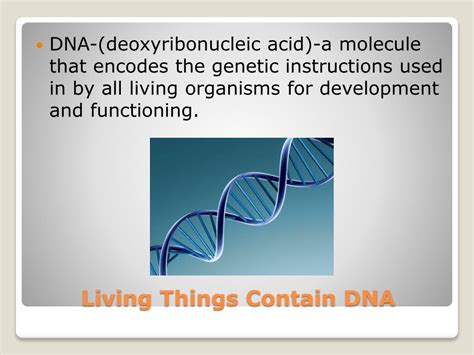 Ppt Introduction To Biology Powerpoint Presentation Free Download