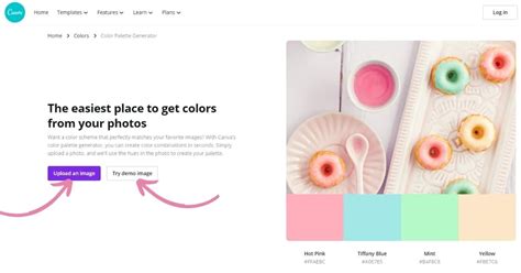 Create The Right Color Palette For Your Business With Free Canva