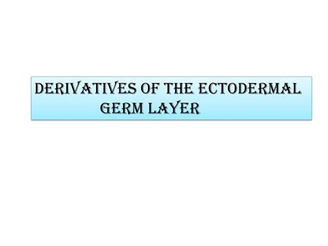 Derivatives Of The Ectodermal Ppt Video Online Download