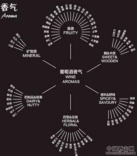葡萄酒基础入门小知识（图鉴）藏酒认知酒类百科中国酒志网