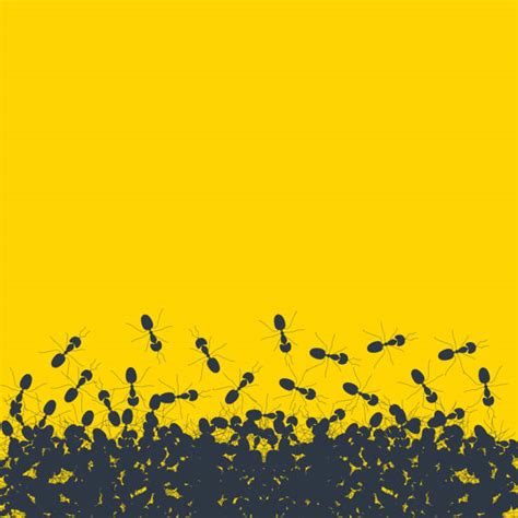 Cartoon Of The Ant Hill Illustrations Royalty Free Vector Graphics