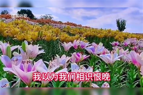 晨熙演唱《你不再属于我》，伤感的歌声，唱出失去爱情的痛苦