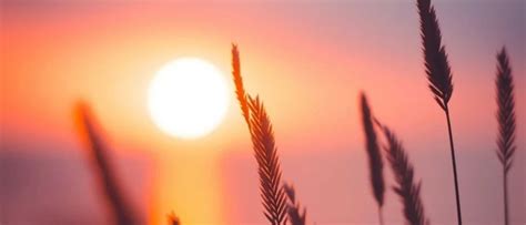 Timefold Solver 08 Reaches End Of Life Timefold