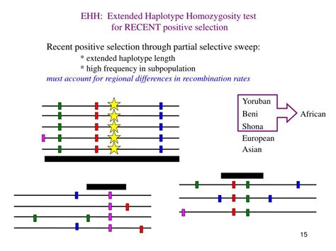 Ppt Signatures Of Selection Powerpoint Presentation Free Download