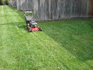 How To Add Calcium To Garden Soil Ehow