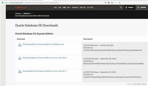 【oracle Database Xe】免费版下载，历史版本下载【oraclexe 21c Express Edition】【oraclexe