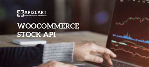 Woocommerce Developer Api How To Work With It Api2cart