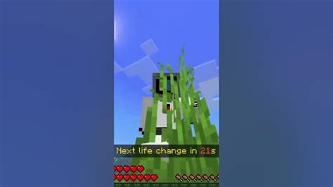 Minecraft But Hearts Are Randomized Youtube