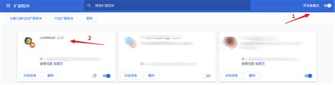说说在 idea 中如何使用 devtools 与 livereload 实现热部署（包括代码与静态资源） reload csdn博客