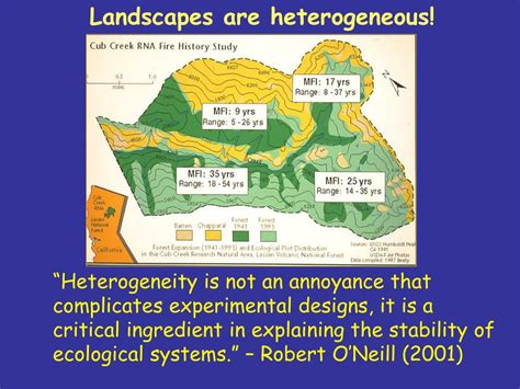 PPT Spatial Ecology II Landscapes PowerPoint Presentation Free Download ID