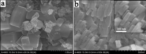 SEM Images Of A LMP H And B LMP HC Download Scientific Diagram