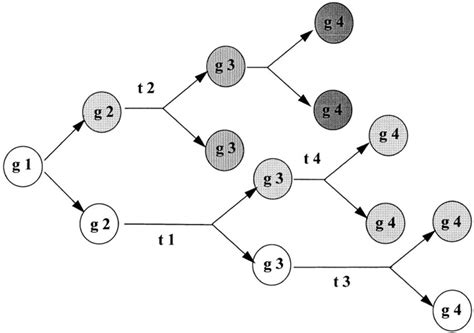 The Intrinsic Timetable Model Of Stem Cell Biology In This Model The Download Scientific