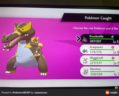 2nd Shiny From Dynamax Adventure 😍 R Pokemonswordandshield