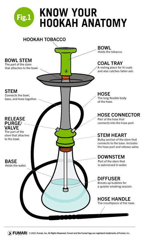 Hookah Use Water At Amy Ammerman Blog