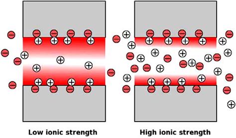 The Electrical Double Layer Edl At Low And High Ionic Strength Red Download Scientific