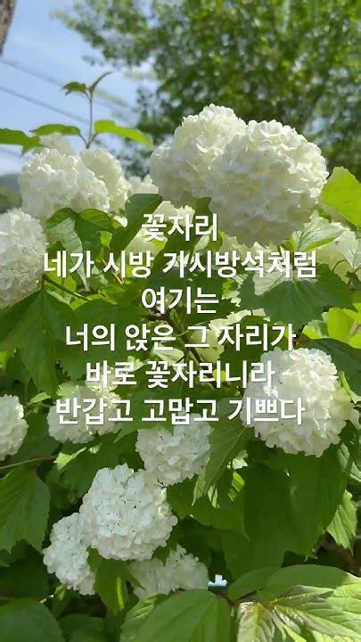 지적이고 행복한 삶을 위한 문장의 향기 고맙고 반갑고 기쁘다 Youtube